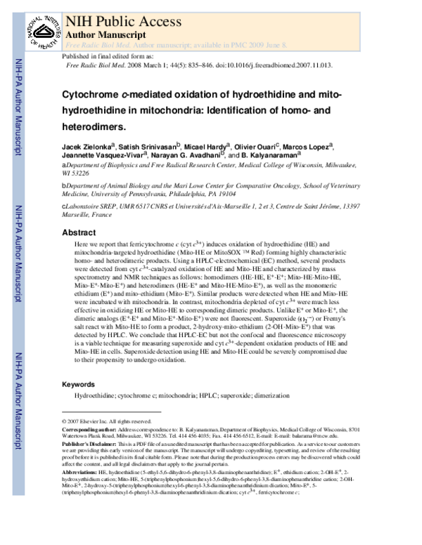 (PDF) Cytochrome c-mediated oxidation of hydroethidine and mito ...