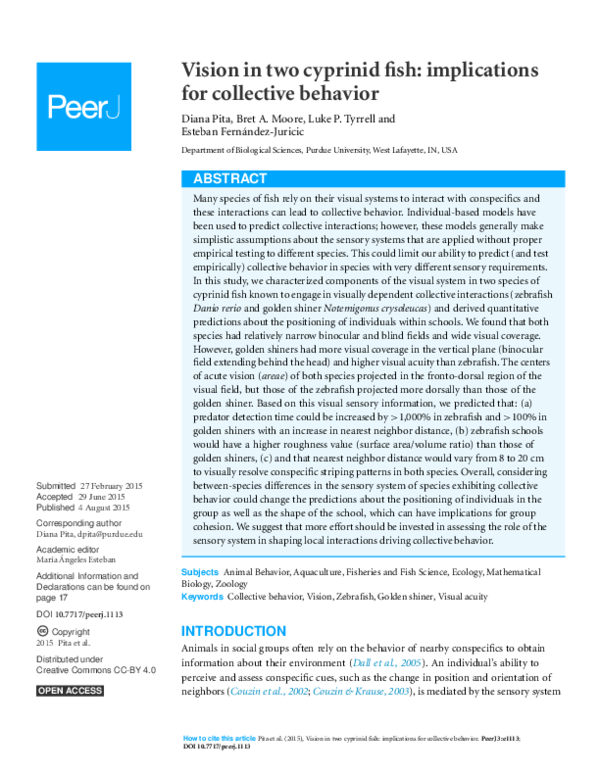 (PDF) Vision in two cyprinid fish: implications for collective behavior
