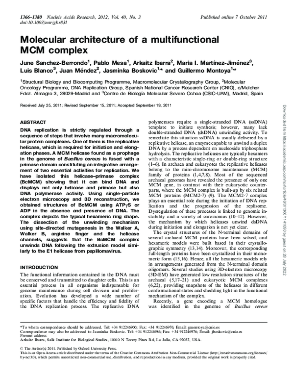 (PDF) Molecular architecture of a multifunctional MCM complex
