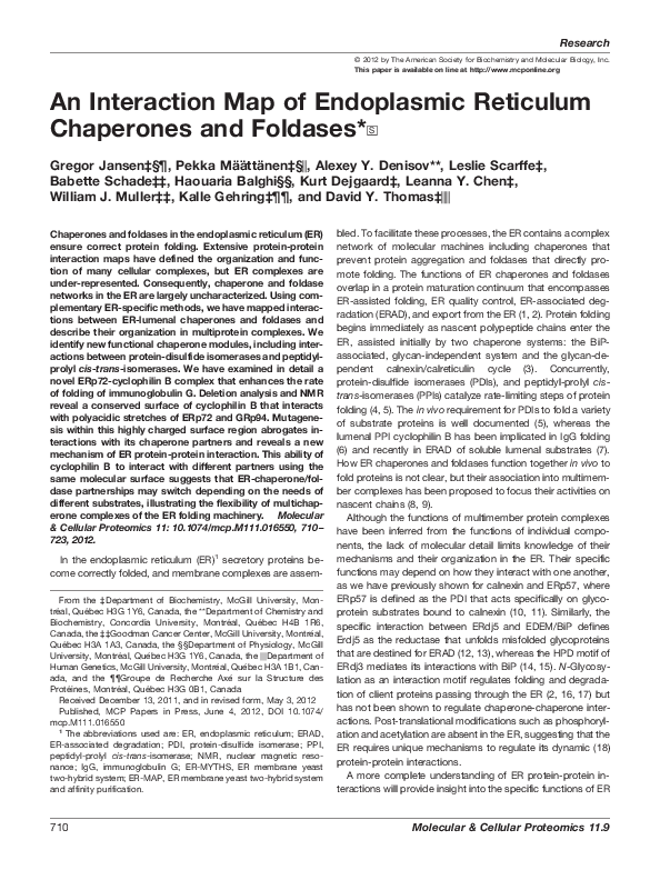 (PDF) An Interaction Map of Endoplasmic Reticulum Chaperones and Foldases