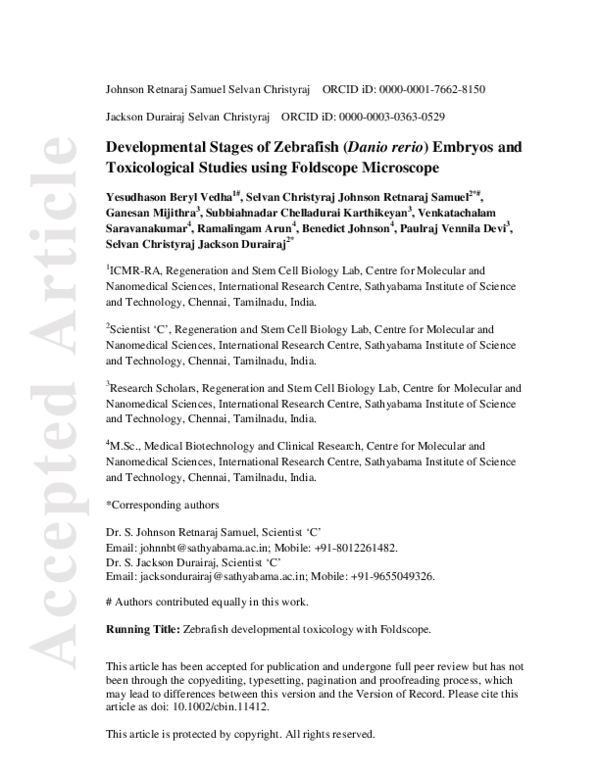 (PDF) Developmental stages of zebrafish ( Danio rerio ) embryos and ...