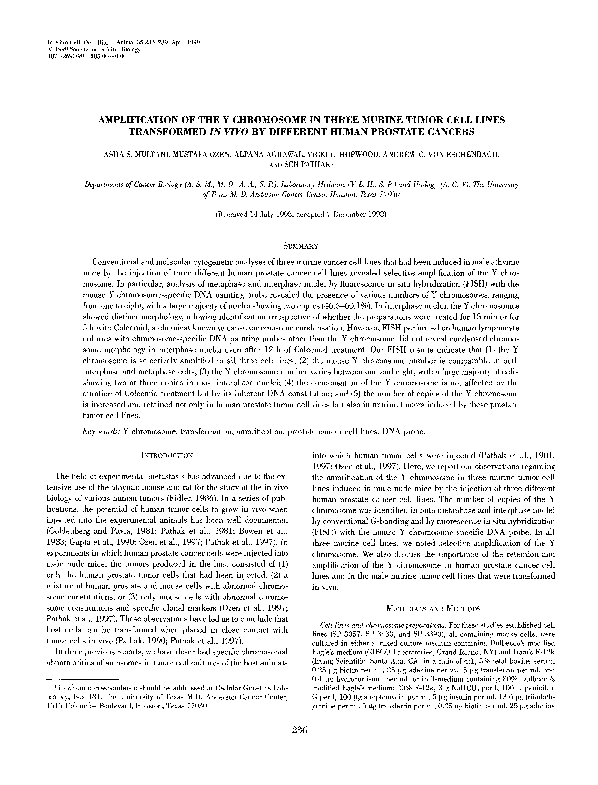 (PDF) Y Chromosome Amplification in Murine Tumors