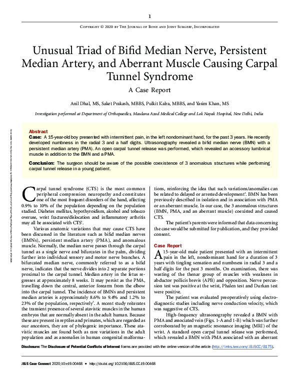 (PDF) Unusual Triad of Bifid Median Nerve, Persistent Median Artery ...