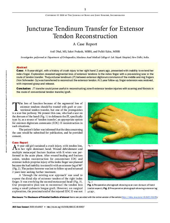 (PDF) Juncturae Tendinum Transfer for Extensor Tendon Reconstruction ...