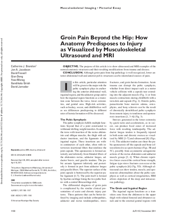 (PDF) Groin Pain Beyond the Hip: How Anatomy Predisposes to Injury as ...