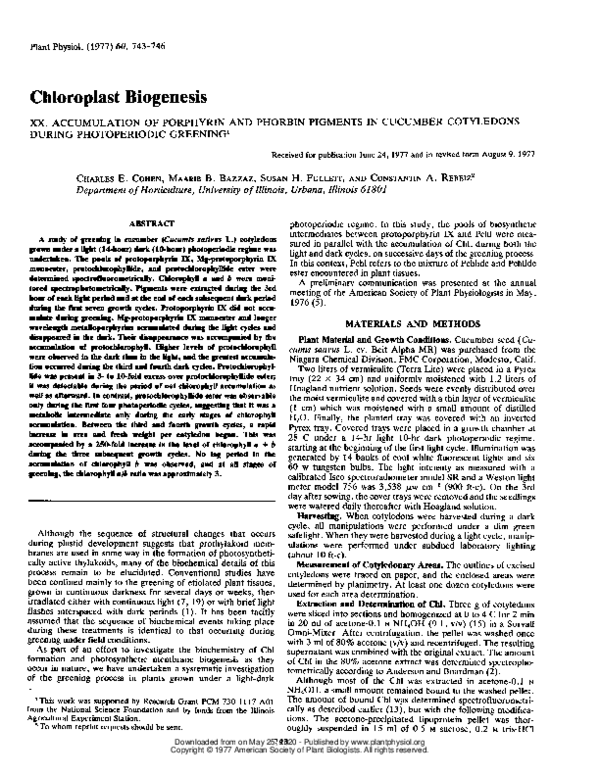 (PDF) Chloroplast Biogenesis