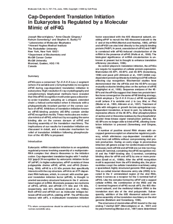 (PDF) Cap-Dependent Translation Initiation in Eukaryotes Is Regulated ...