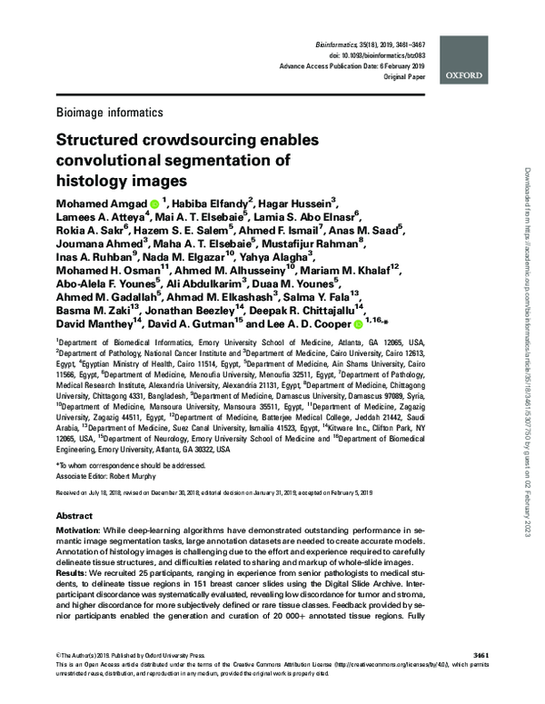 (PDF) Structured crowdsourcing enables convolutional segmentation of histology images | Mariam ...