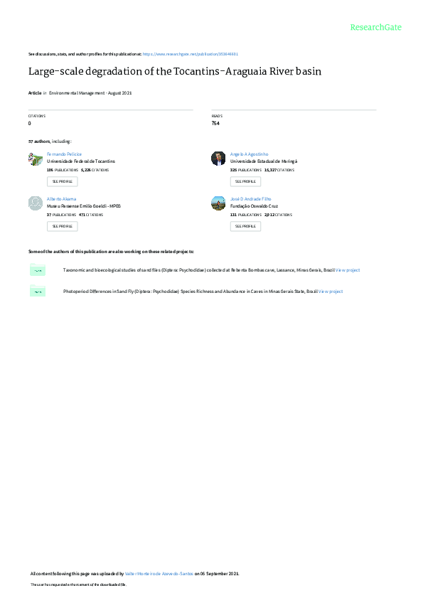 (PDF) Large-scale Degradation of the Tocantins-Araguaia River Basin