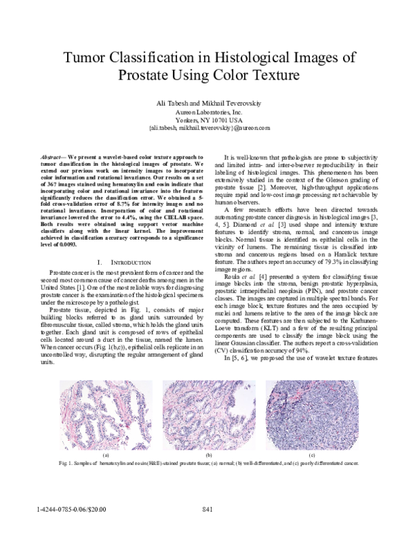 (PDF) Tumor Classification in Histological Images of Prostate Using ...