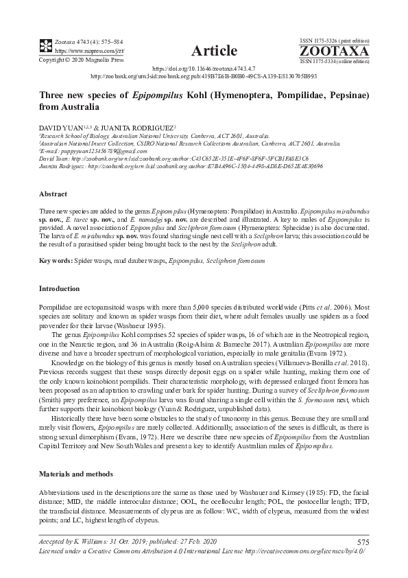 (PDF) Three new species of Epipompilus Kohl (Hymenoptera, Pompilidae ...