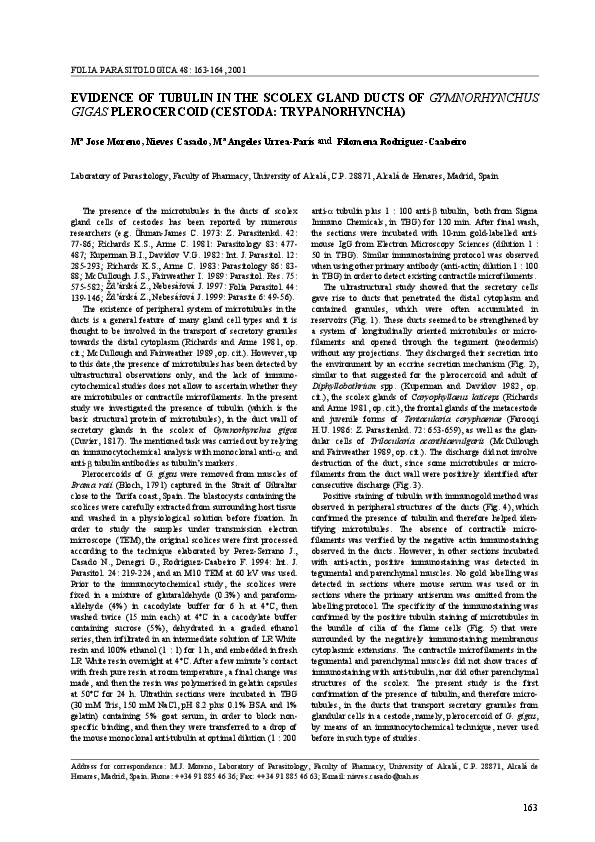 (PDF) Evidence of tubulin in the scolex gland ductus of Gymnorhynchus ...