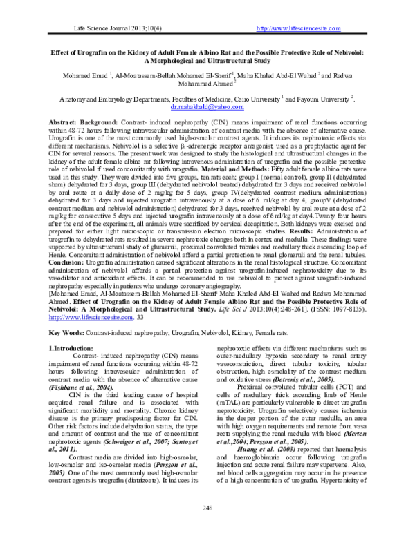(PDF) Effect of Urografin on the Kidney of Adult Female Albino Rat and ...
