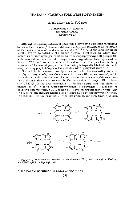 (PDF) The Later Stages of Porphyrin Biosynthesis