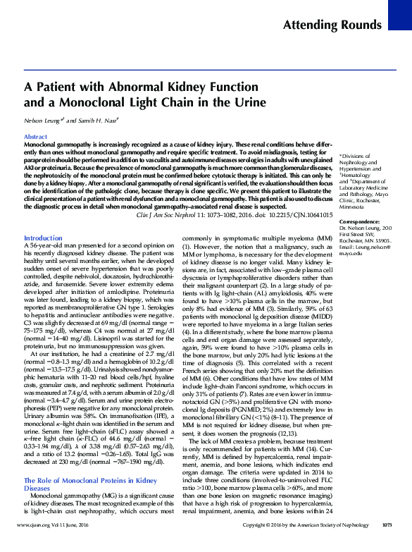 (PDF) A Patient with Abnormal Kidney Function and a Monoclonal Light ...