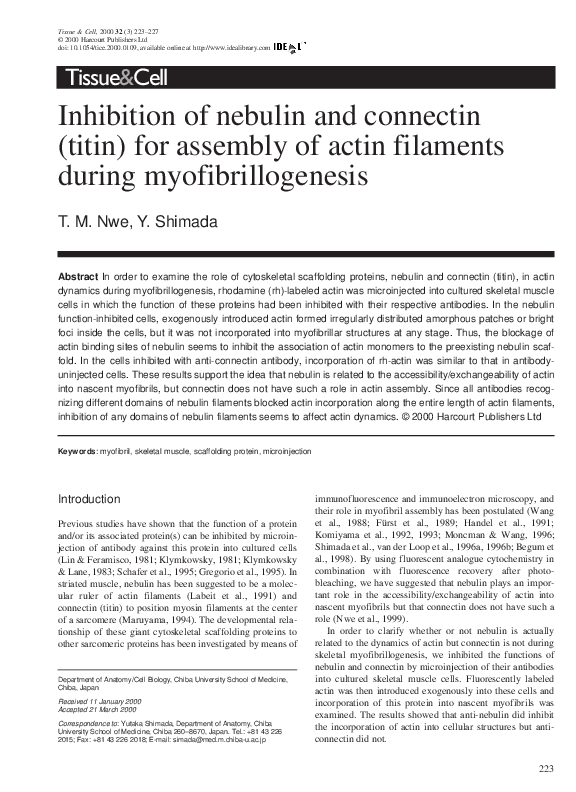 (PDF) Inhibition of nebulin and connectin (titin) for assembly of actin ...