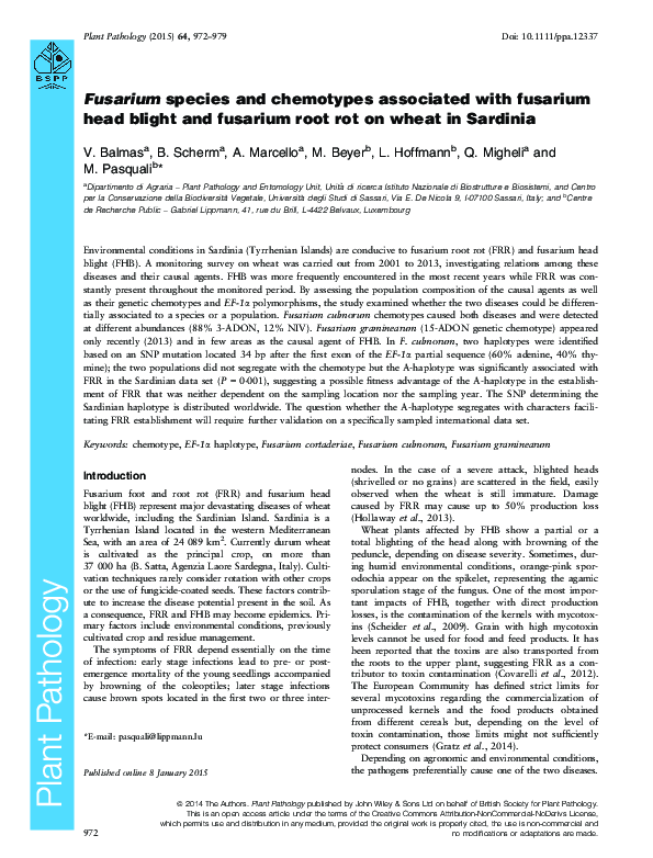 (PDF) Fusarium species and chemotypes associated with fusarium head ...