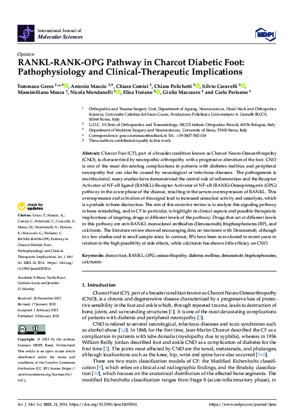 (PDF) RANKL-RANK-OPG Pathway in Charcot Foot
