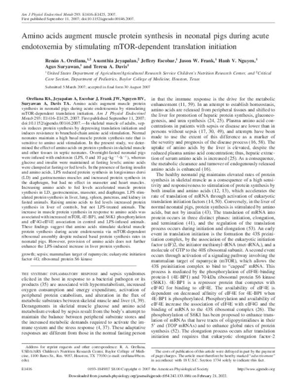 (PDF) Amino acids augment muscle protein synthesis in neonatal pigs ...