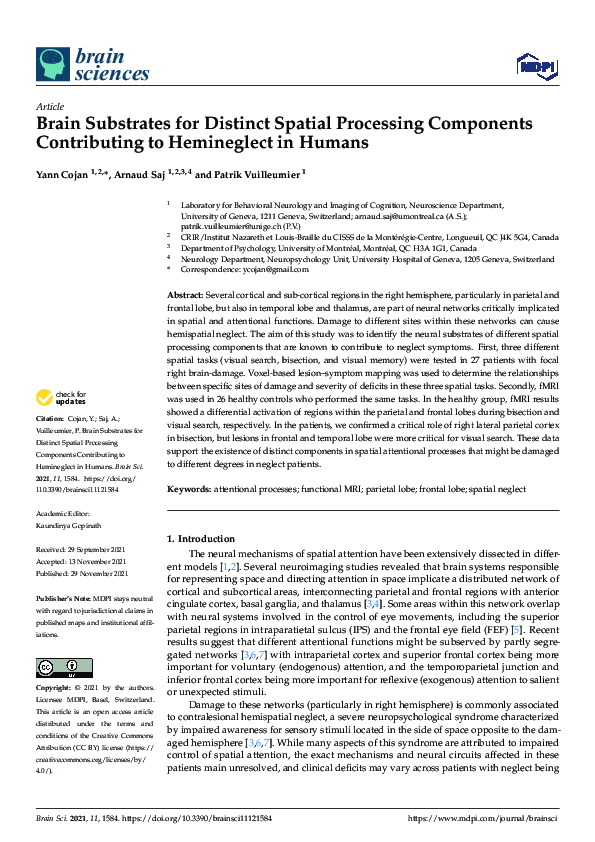 Pdf Brain Substrates For Distinct Spatial Processing Components Contributing To Hemineglect In