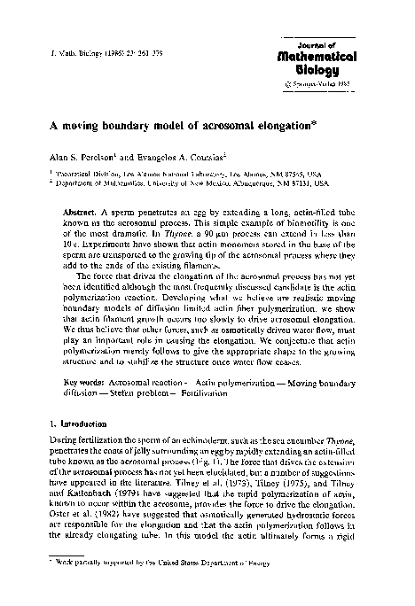 (PDF) A moving boundary model of acrosomal elongation