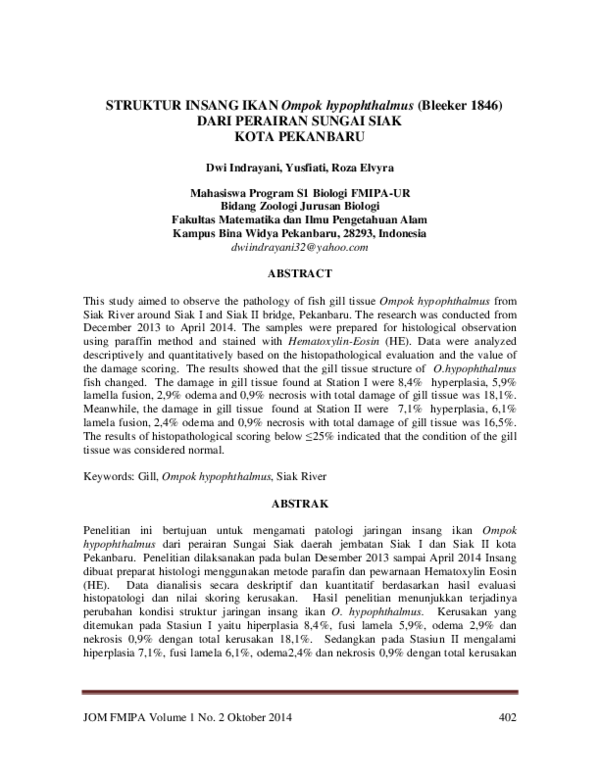 (PDF) STRUKTUR INSANG IKAN Ompok hypophthalmus (Bleeker 1846) DARI ...