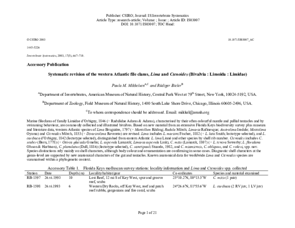 (PDF) Systematic revision of the western Atlantic file clams, Lima and Ctenoides (Bivalvia ...