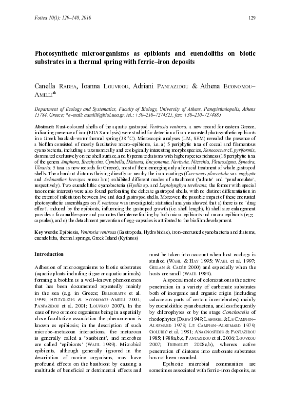 (PDF) Photosynthetic microorganisms as epibionts and euendoliths on ...