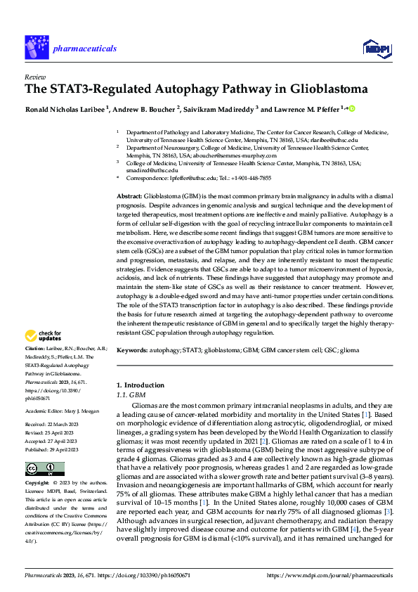 Pdf The Stat3 Regulated Autophagy Pathway In Glioblastoma Saivikram
