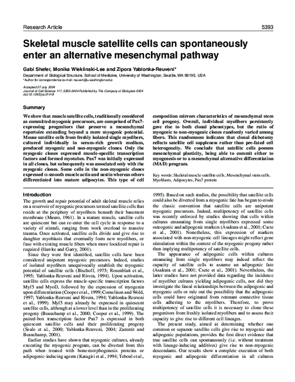 (PDF) Skeletal muscle satellite cells can spontaneously enter an ...