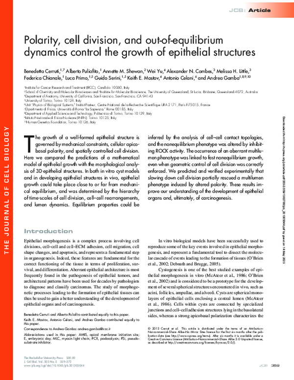 (PDF) Polarity, cell division, and out-of-equilibrium dynamics control ...