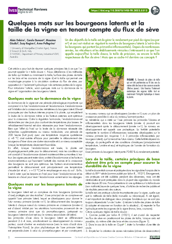 (PDF) A few words on grapevine winter buds and pruning in consideration ...