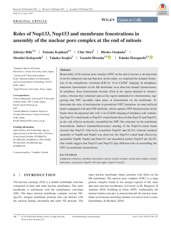(PDF) Roles of Nup133, Nup153 and membrane fenestrations in assembly of ...