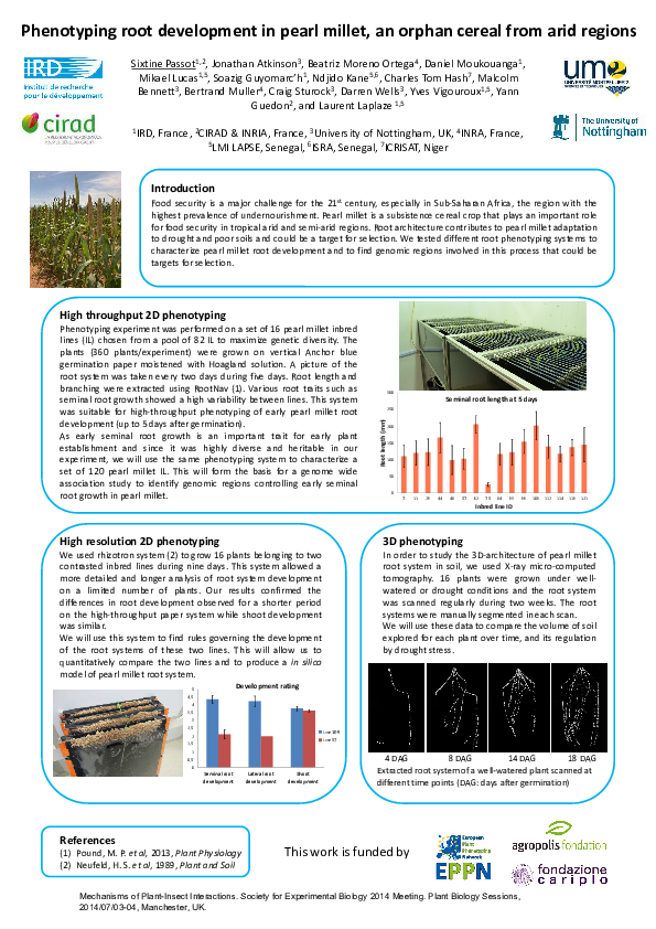 (PDF) Phenotyping root development in pearl millet, an orphan cereal ...