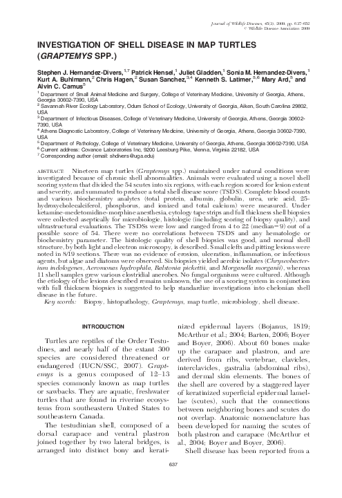 (PDF) Investigation of Shell Disease in Map Turtles (Graptemys SPP.)