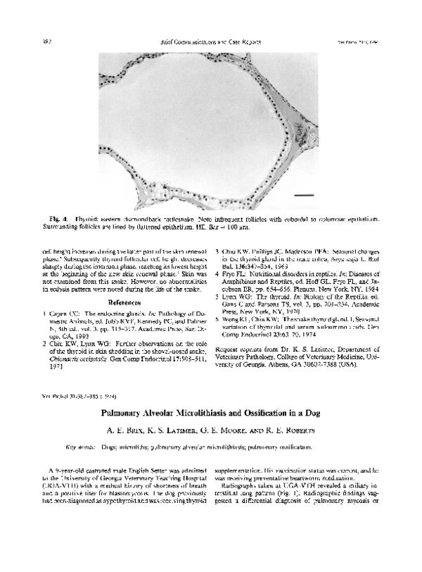 (PDF) Pulmonary Alveolar Microlithiasis and Ossification in a Dog ...