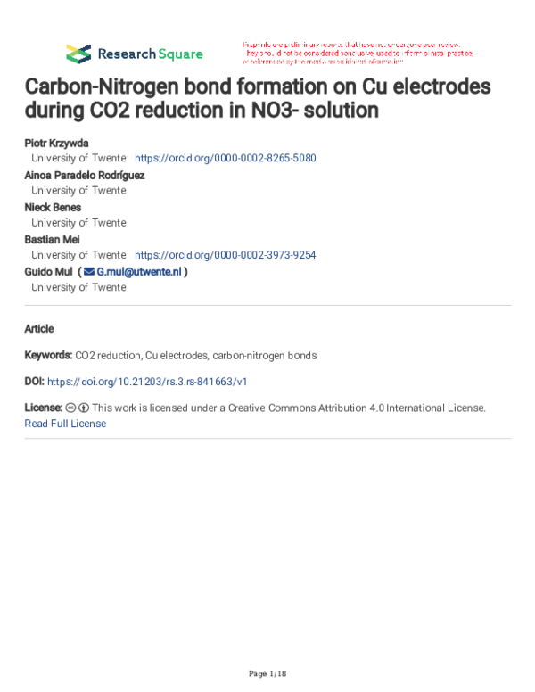 (PDF) Carbon-Nitrogen bond formation on Cu electrodes during CO2 ...