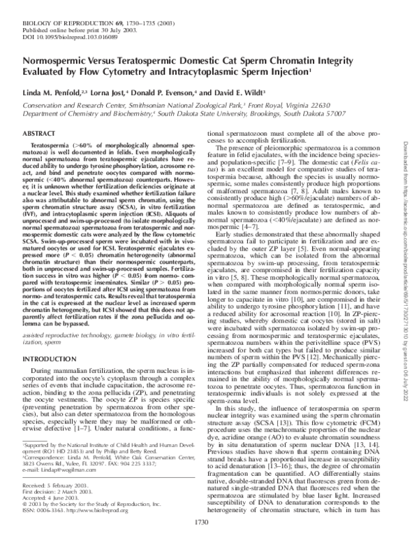 (PDF) Normospermic Versus Teratospermic Domestic Cat Sperm Chromatin ...