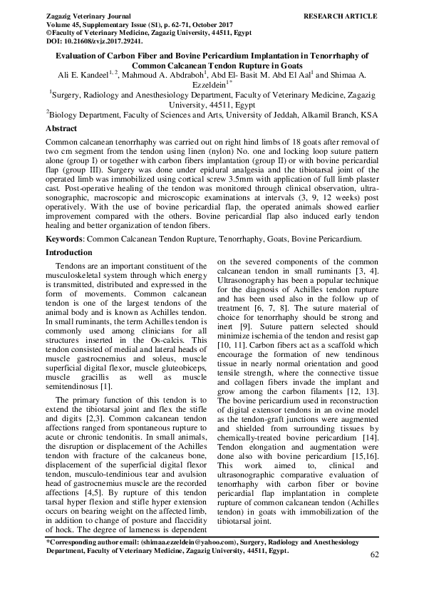 (PDF) Evaluation of Carbon Fiber and Bovine Pericardium Implantation in ...