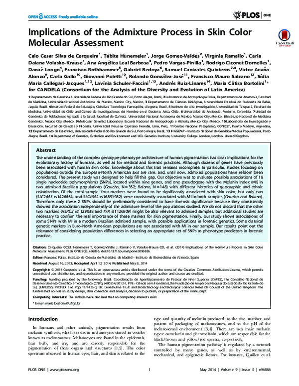 (PDF) Implications of the Admixture Process in Skin Color Molecular ...