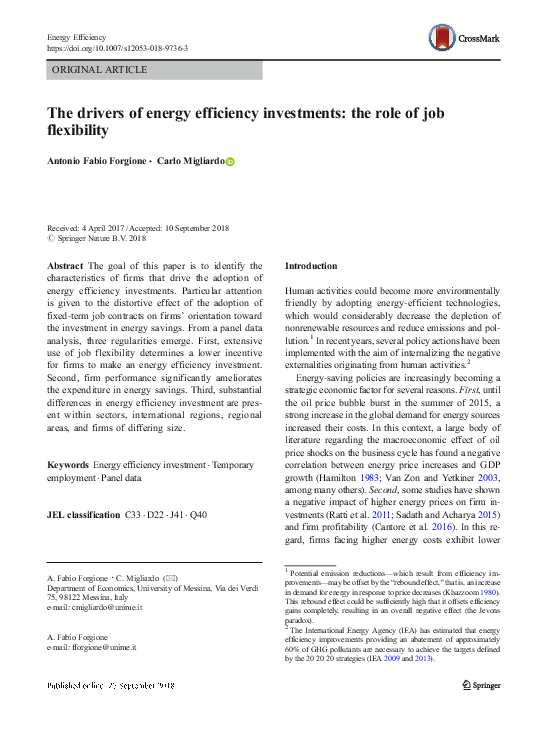 (PDF) The drivers of energy efficiency investments: the role of job ...