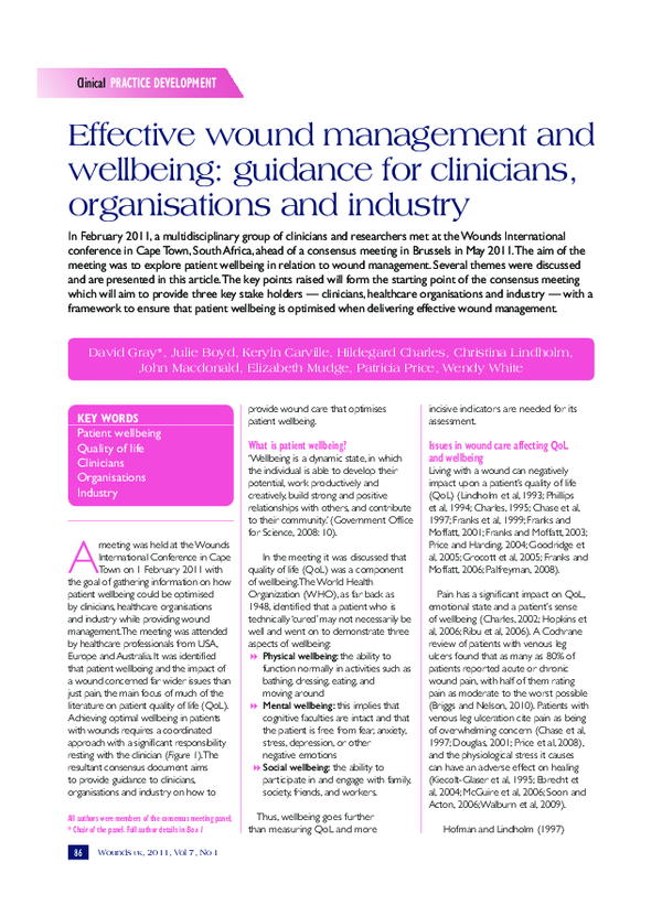 (PDF) Effective wound management and wellbeing: guidance for clinicians ...