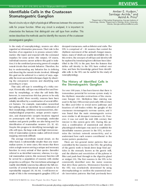 (PDF) Identifiable Cells in the Crustacean Stomatogastric Ganglion