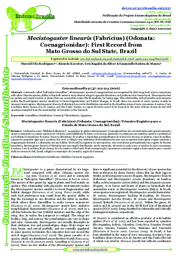 (PDF) Mecistogaster linearis (Fabricius) (Odonata: Coenagrionidae ...
