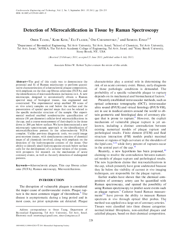 (PDF) Detection of Microcalcification in Tissue by Raman Spectroscopy