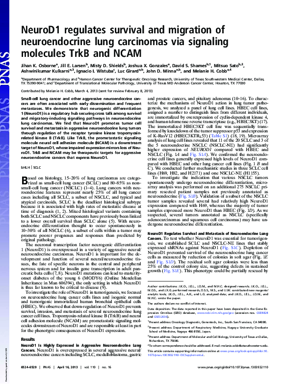 (PDF) NeuroD1 regulates survival and migration of neuroendocrine lung ...