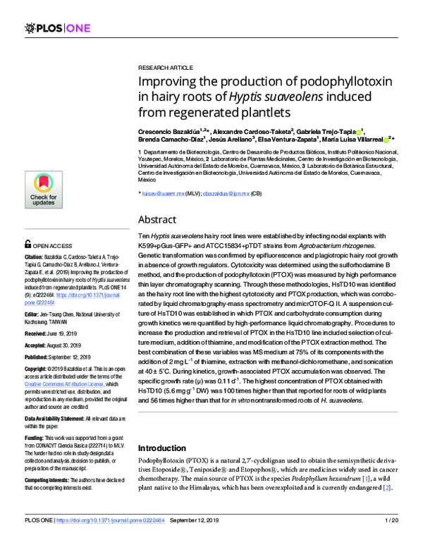 (PDF) Improving the production of podophyllotoxin in hairy roots of Hyptis suaveolens induced ...
