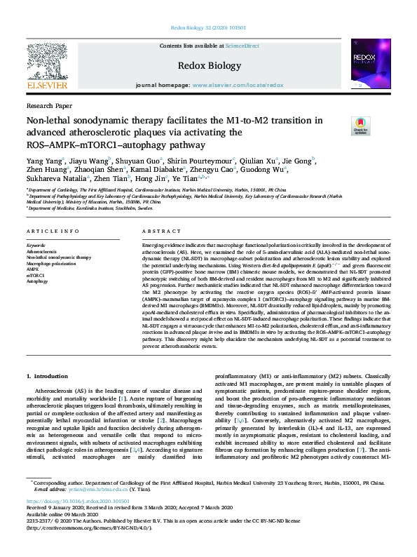 (PDF) Non-lethal sonodynamic therapy facilitates the M1-to-M2 ...