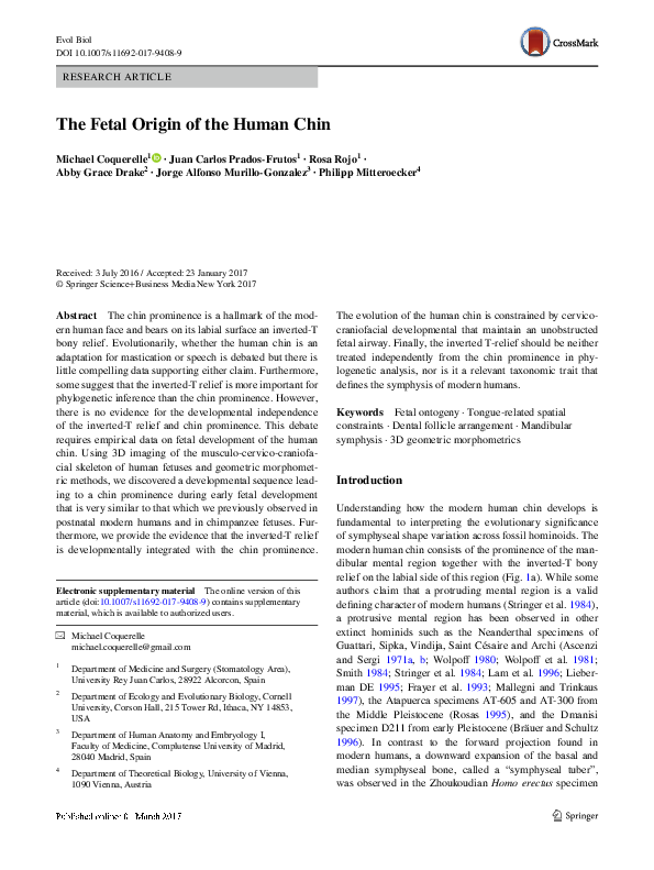 (PDF) The Fetal Origin of the Human Chin