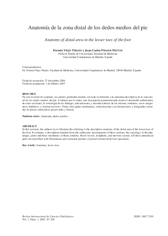 (PDF) Anatomía de la zona distal de los dedos medios del pie